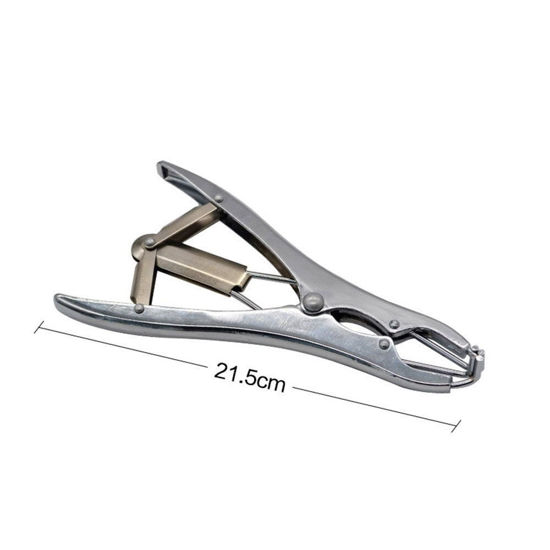 JJMall, don't pay more, save online.. Sheep Lamb Goat Castration, Banding, Tail Docking, Marking ...